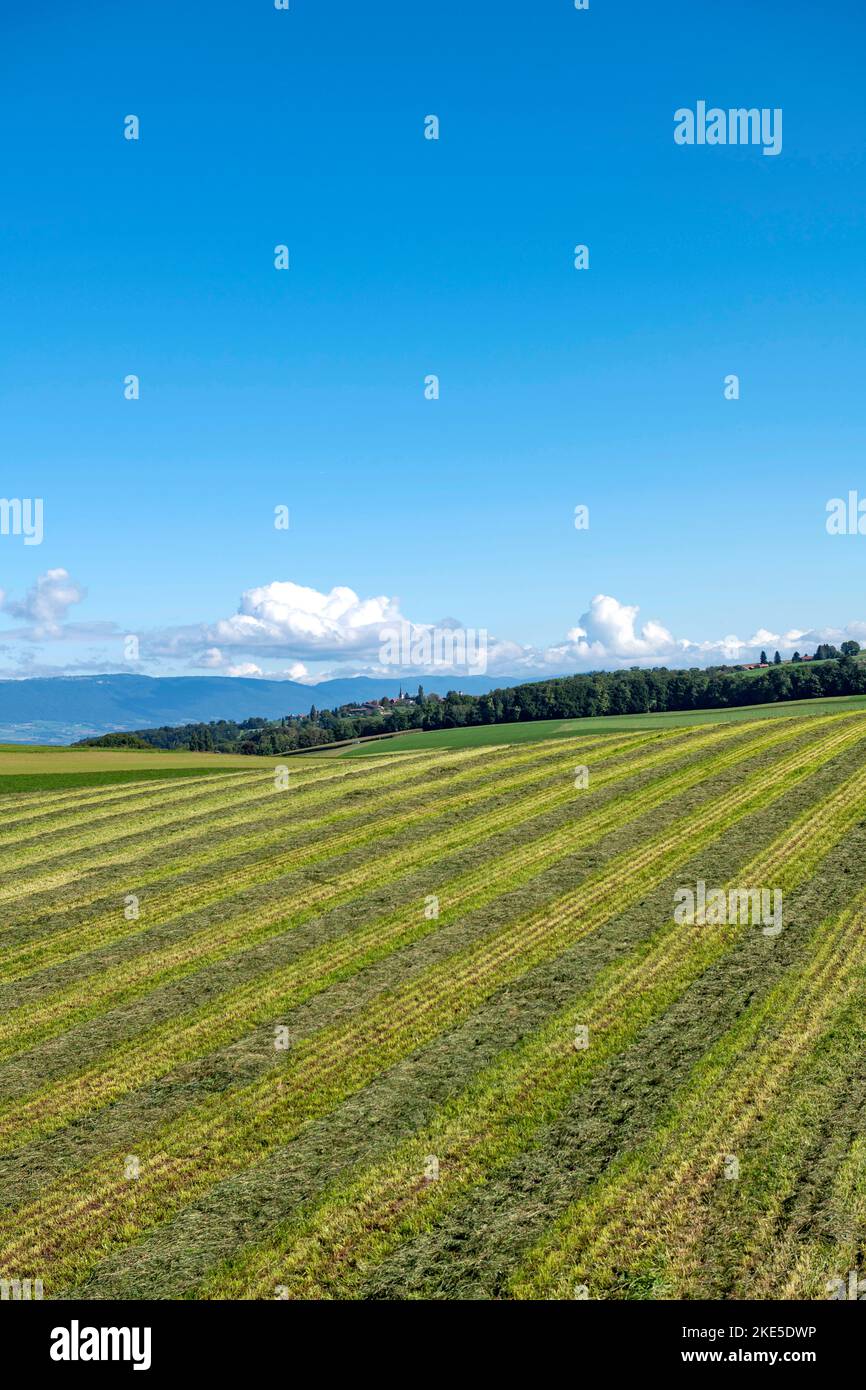 Village de montagne suisse hi-res stock photography and images - Alamy