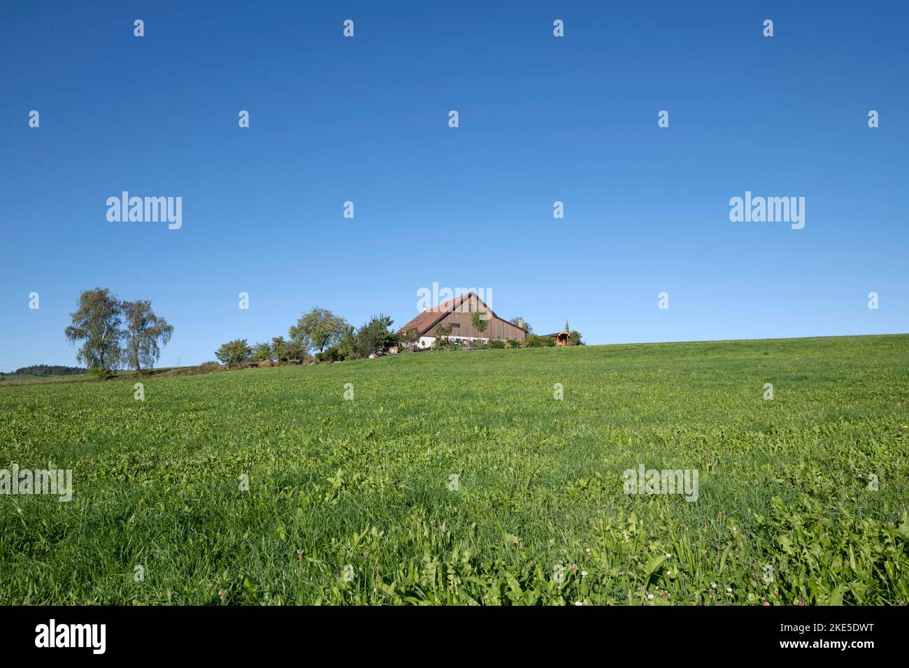 Suisse, Schweiz, Switzerland, Vaud, Waadt, Canton de Vaud, Kanton Waadt ...