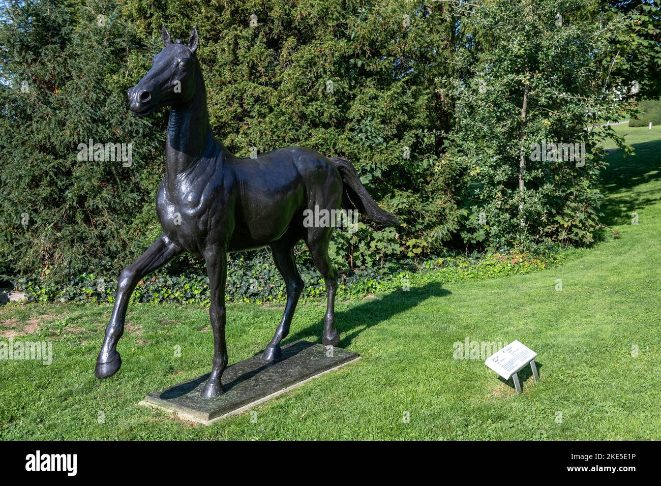 Suisse, Schweiz, Switzerland, Vaud, Waadt, Canton de Vaud, Kanton Waadt ...