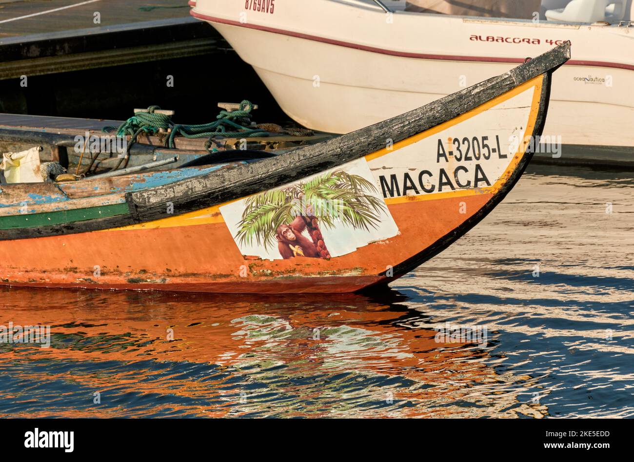 colorful typical Boats in the fishing harbor of Torreira, near Aveiro ...