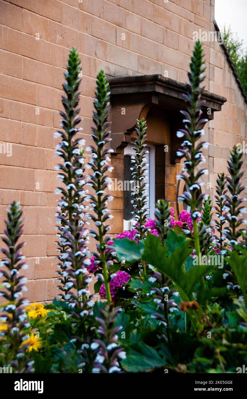 Elegant stone lintel above a doorway in the quaint city of Bath ...