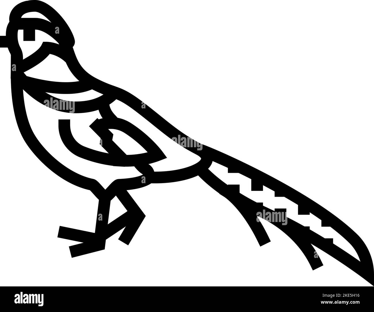 golden pheasant bird exotic line icon vector illustration Stock Vector ...