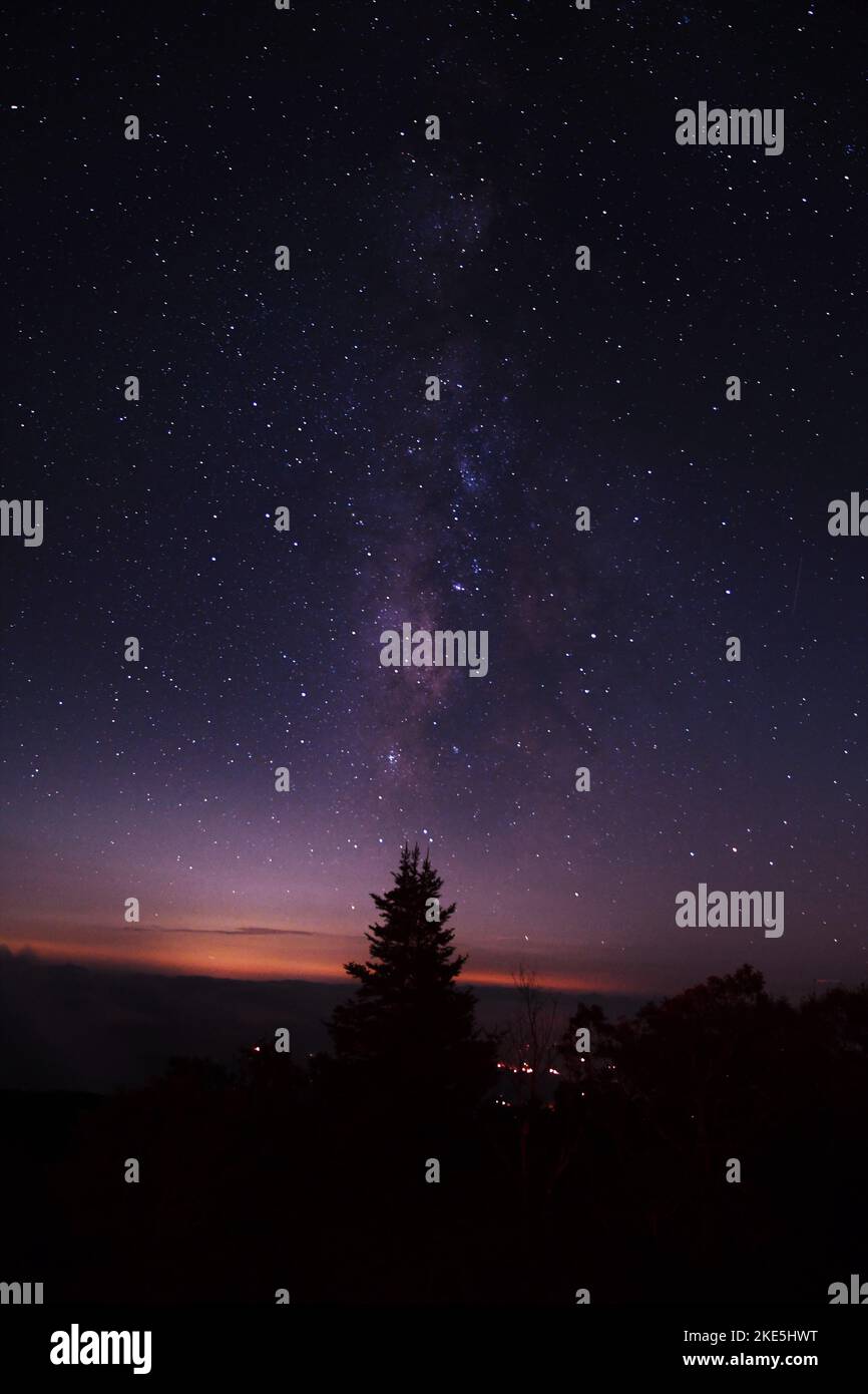 A mesmerizing vertical view of the starry night sky over the silhouette ...