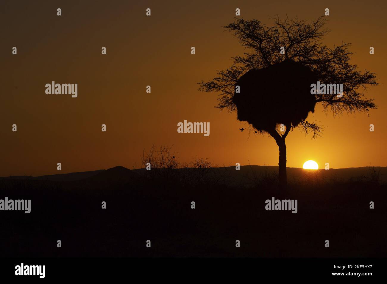 Sociable setting hi-res stock photography and images - Alamy