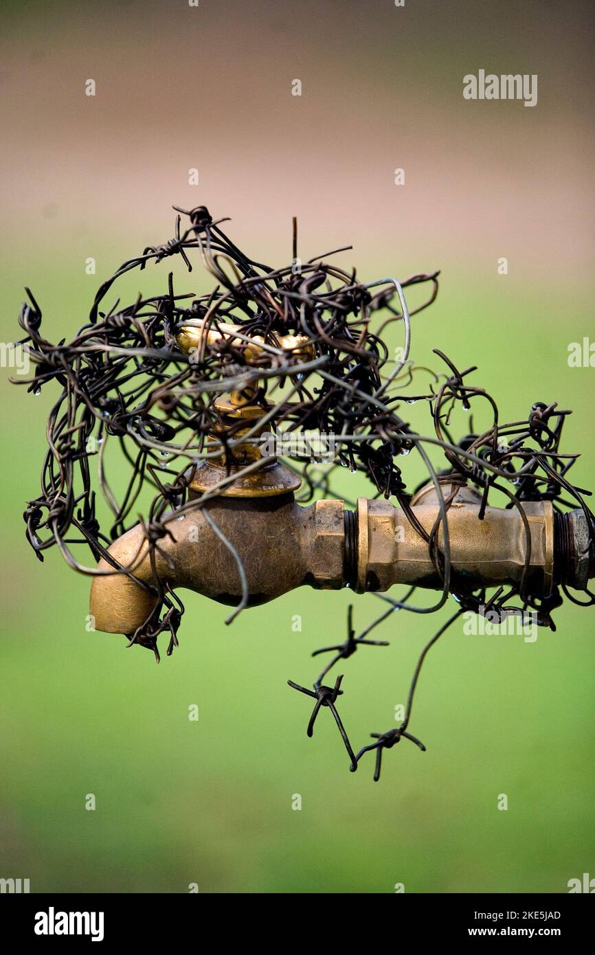 Water drought borana oromo crane barbed wire hi-res stock photography ...