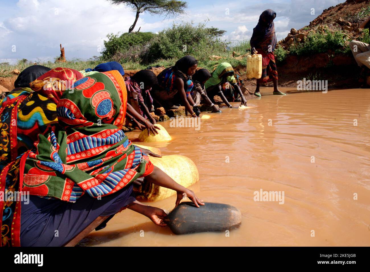 woman collecting water by a pool in Ethiopia Stock Photo - Alamy