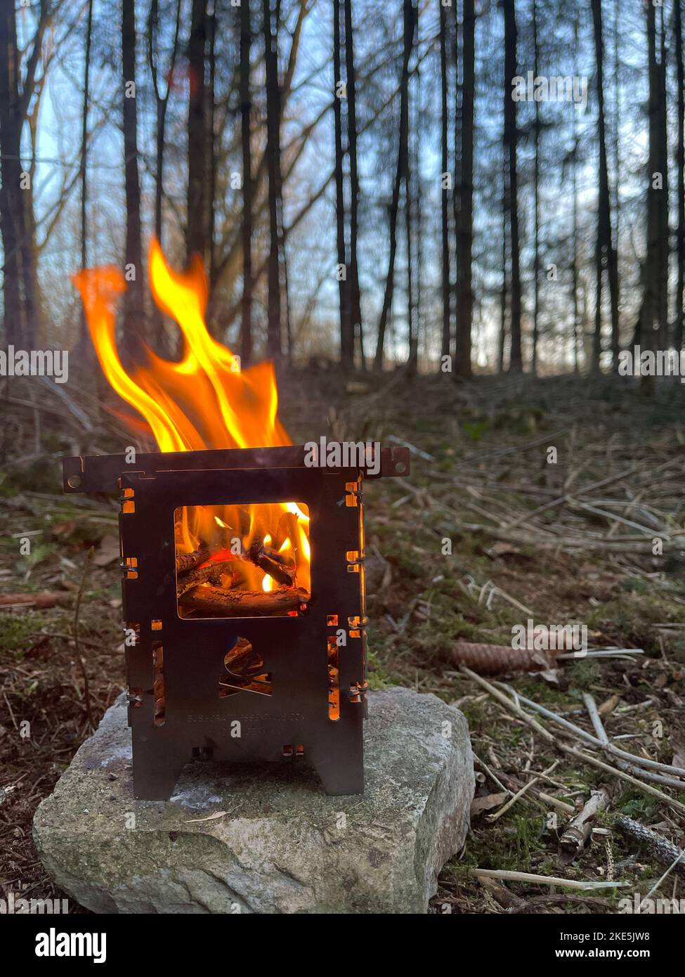A vertical shot of a small burning bushbox on a rock with a forest in ...