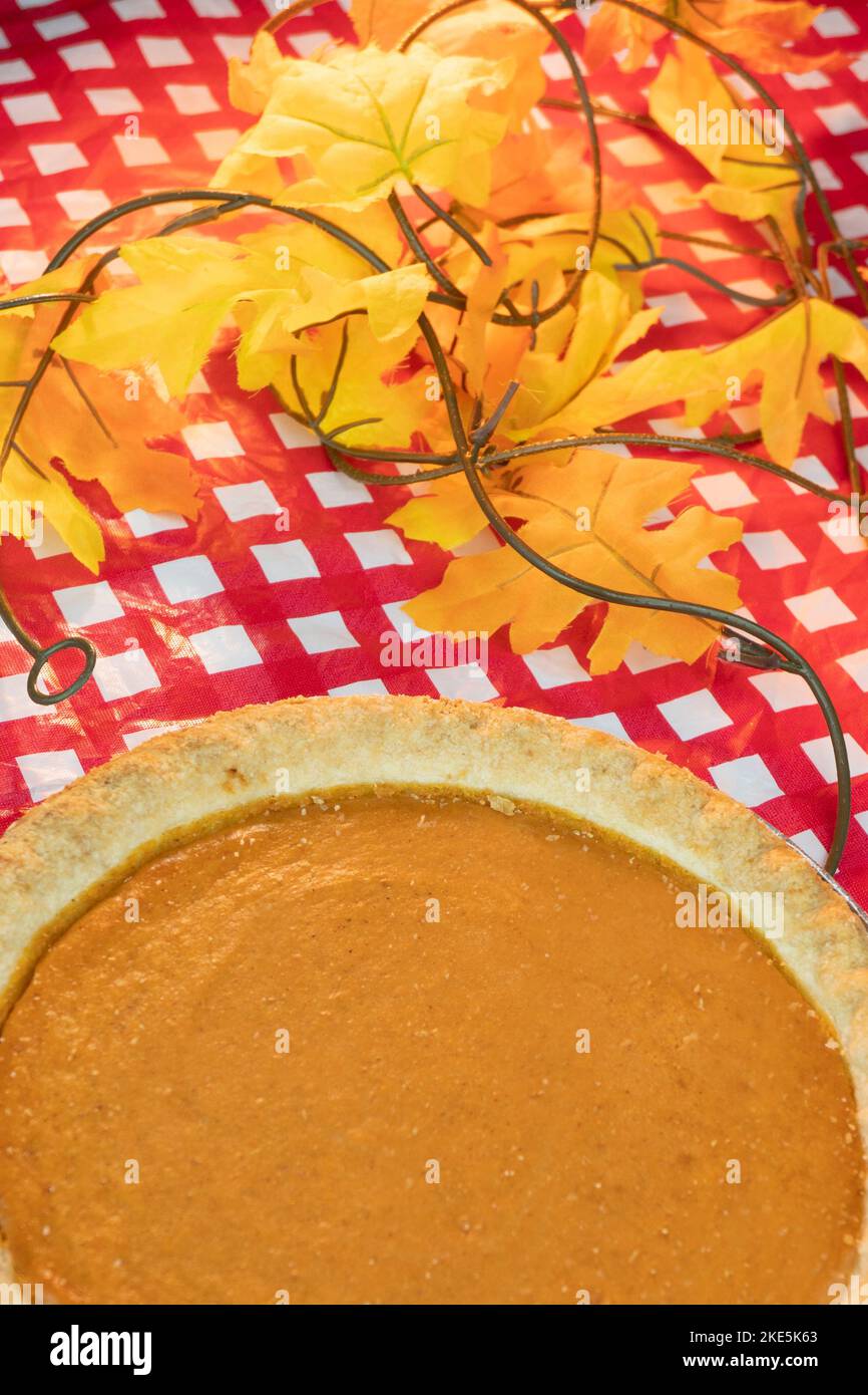 The high-angle vertical view of a pumpkin pie over the red checkered ...