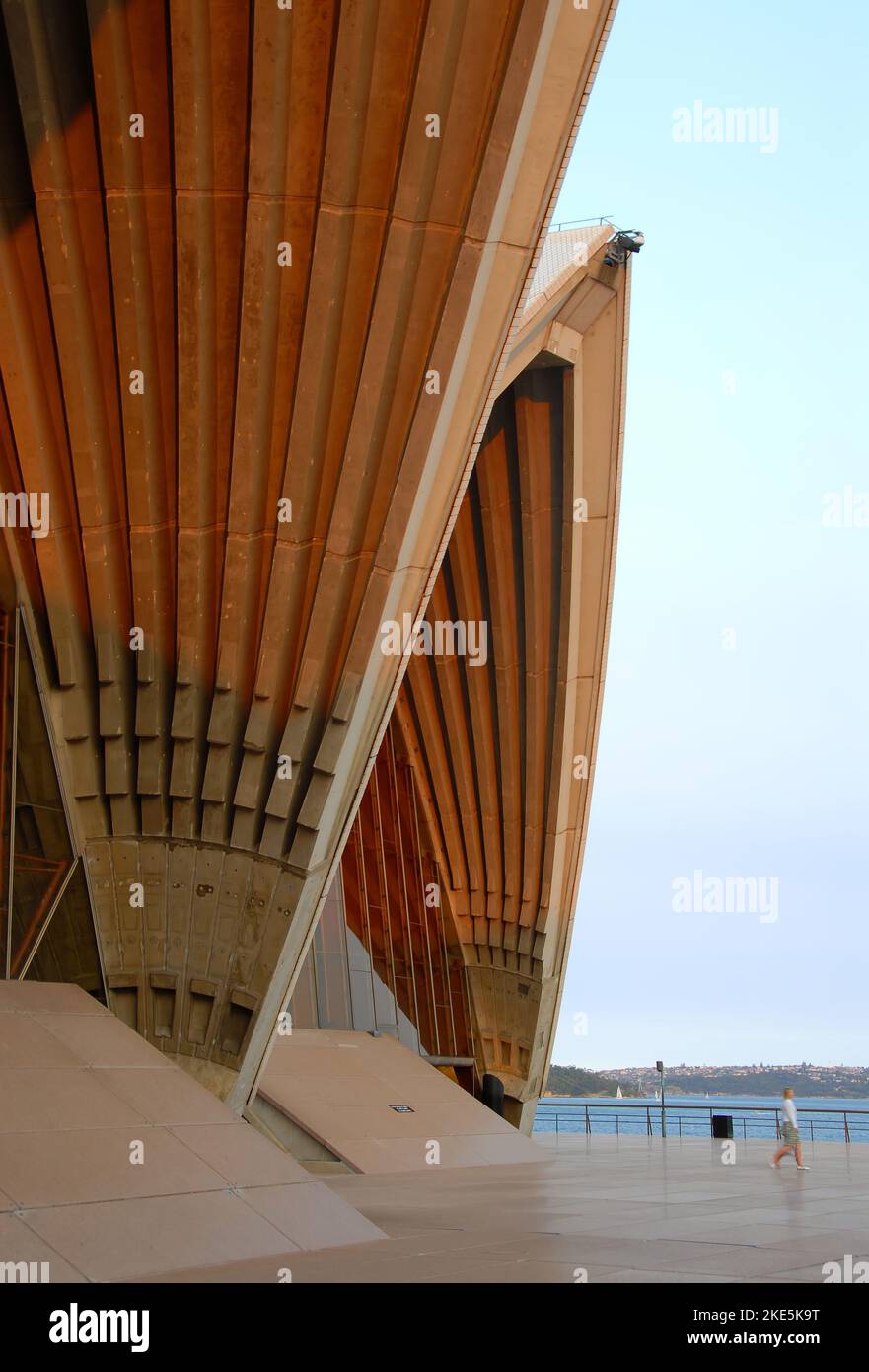 Distinctive shell structure hi-res stock photography and images - Alamy