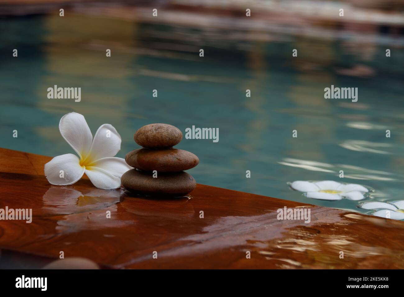Frangipani flower beside a stack of flat stones showing the concept of ...