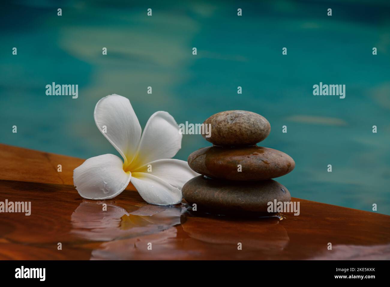Frangipani flower beside a stack of flat stones showing the concept of ...