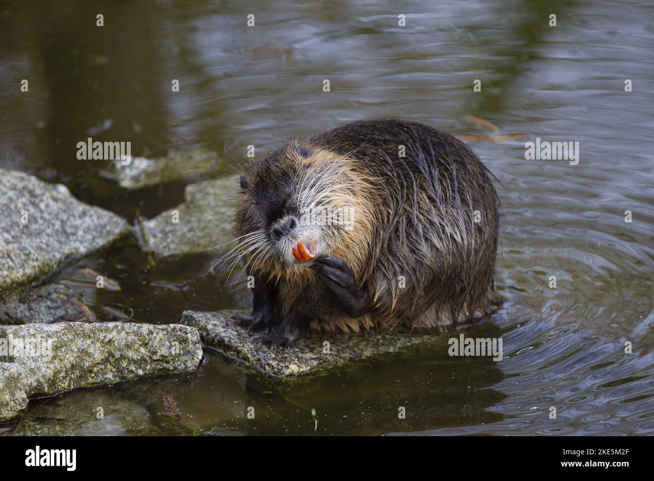 Itches river hi-res stock photography and images - Alamy