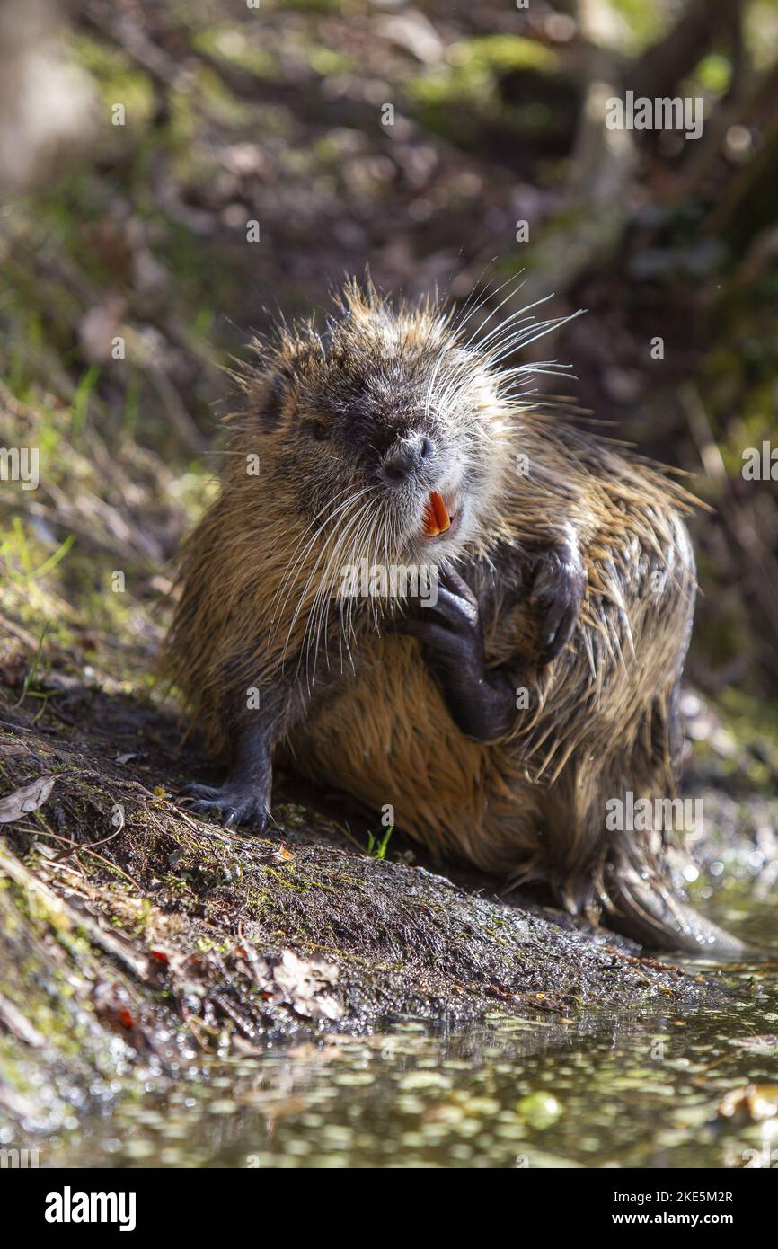 Itches river hi-res stock photography and images - Alamy