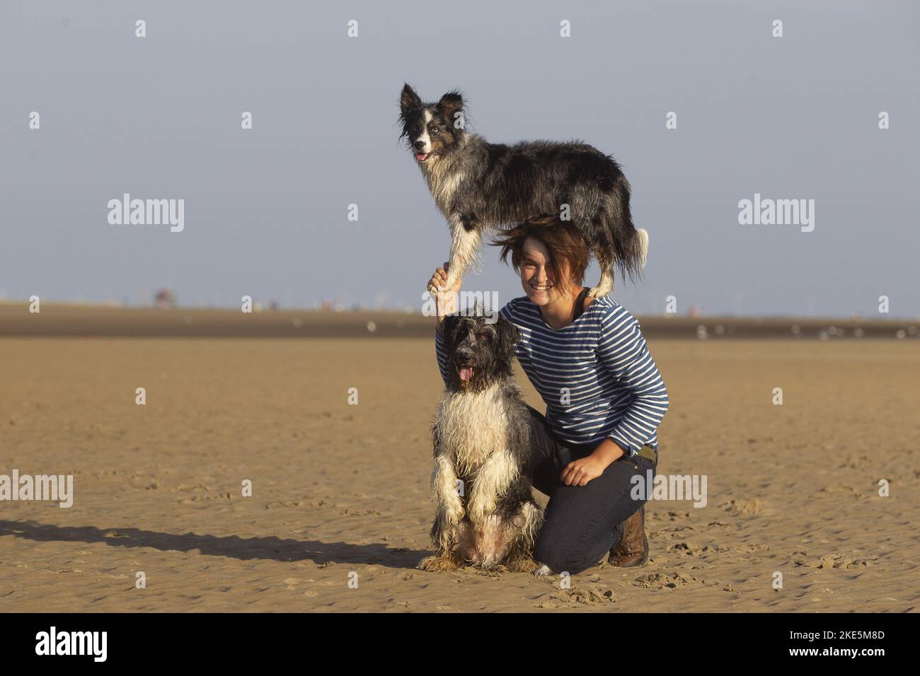 Woman sitting border collie on hi-res stock photography and images - Alamy