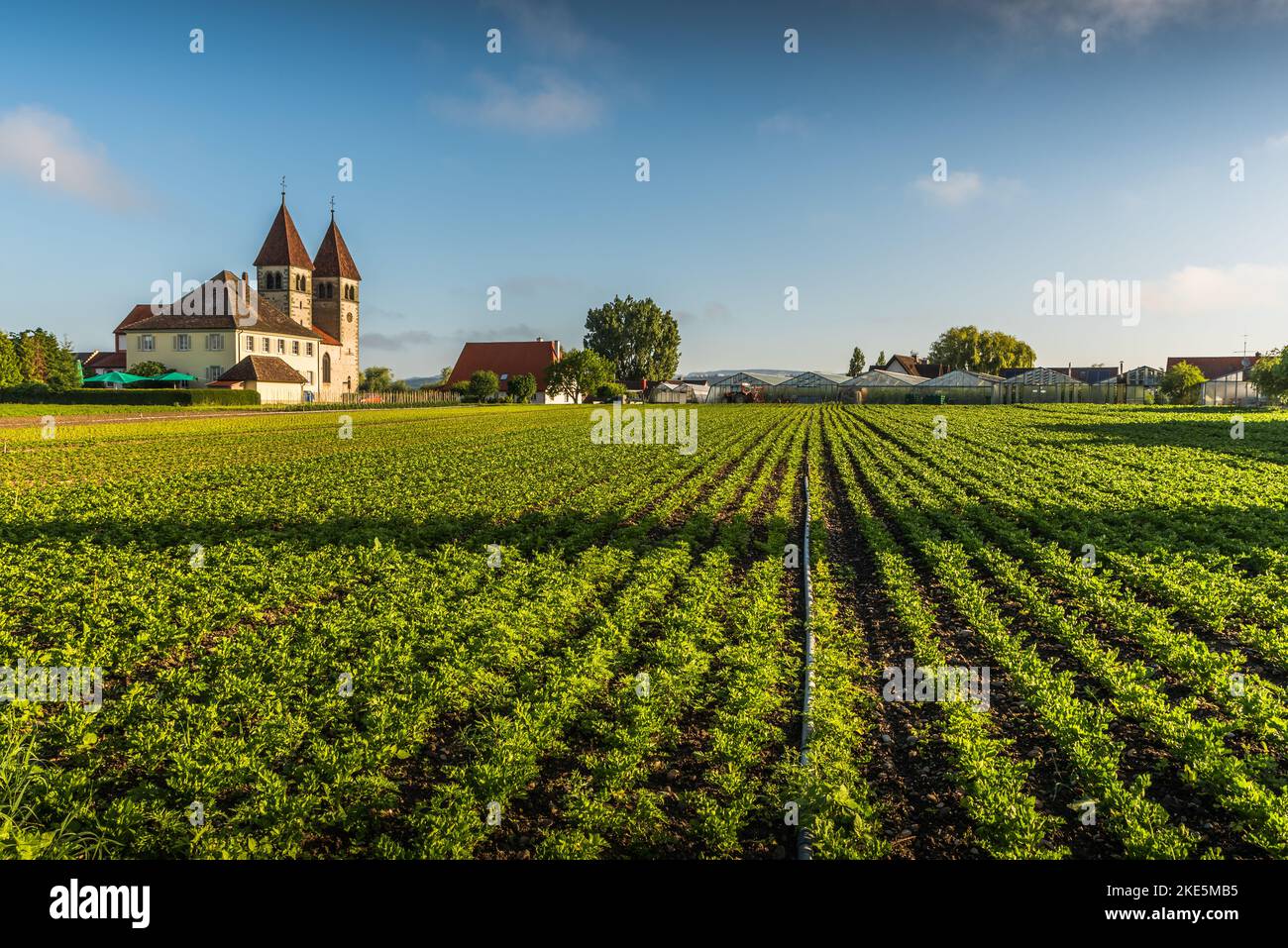 Romanesque catholic church of St. Peter and Paul and vegetable field on ...