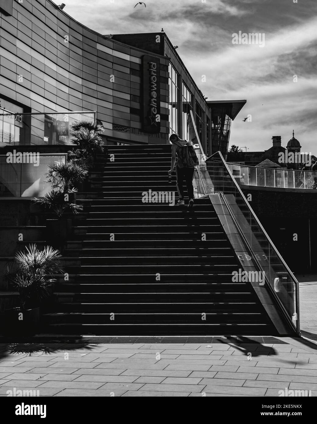 A vertical shot of a male rising up the stairs in Kingsway Centre ...