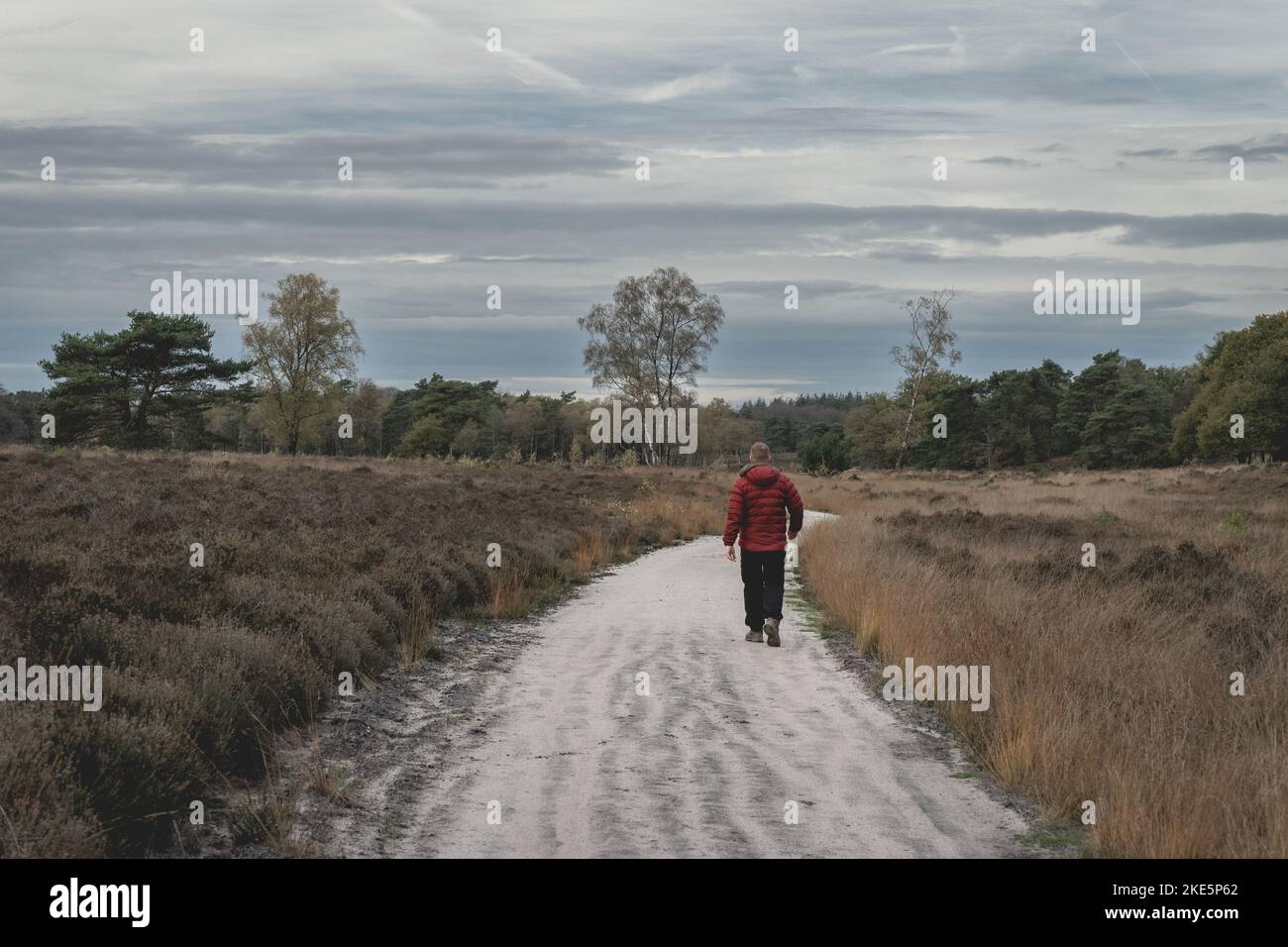 Guy in a red jacket walked on the path, Noorderheide, Elspeet, The ...