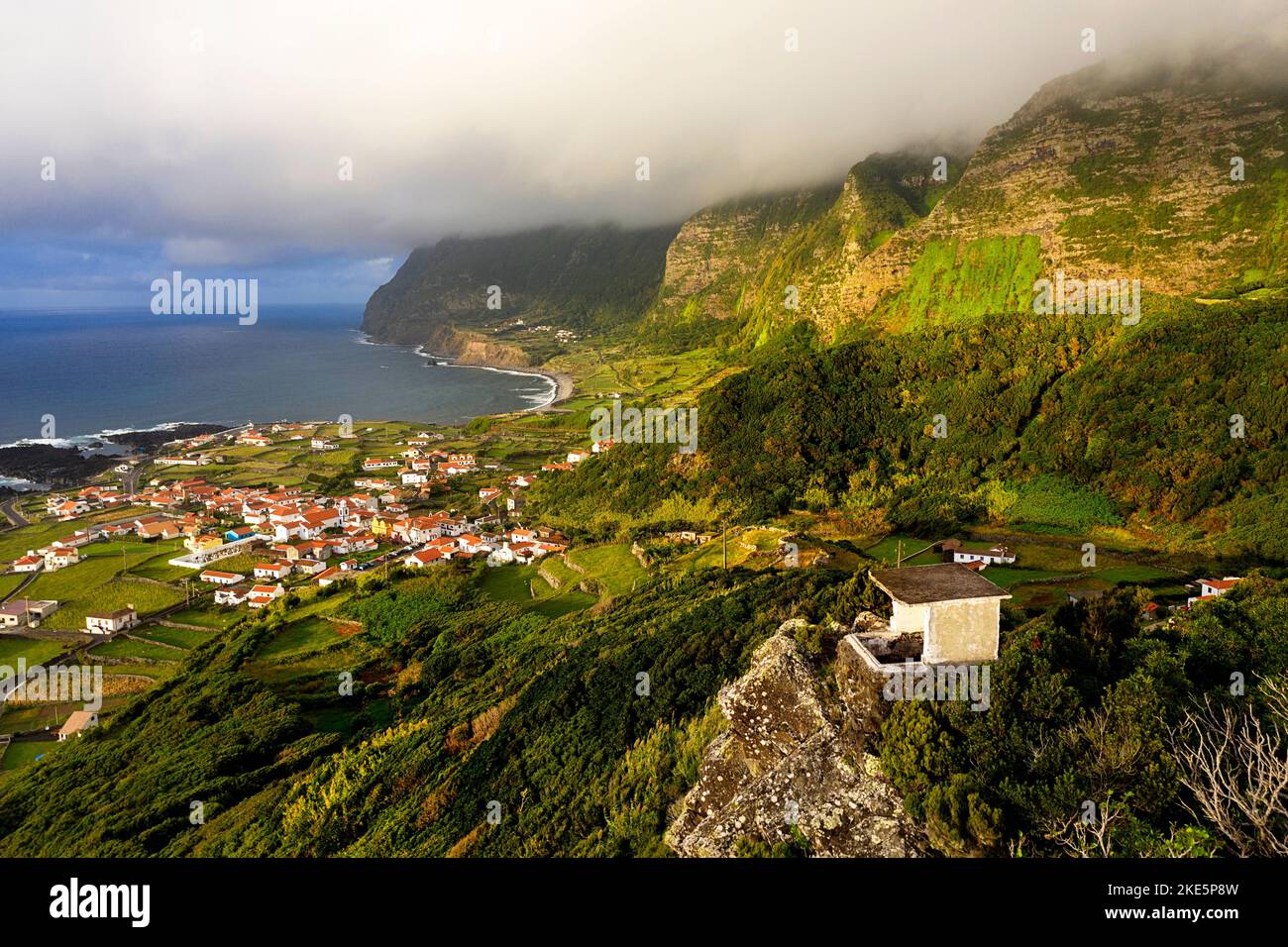 Whale watching azores hi-res stock photography and images - Alamy