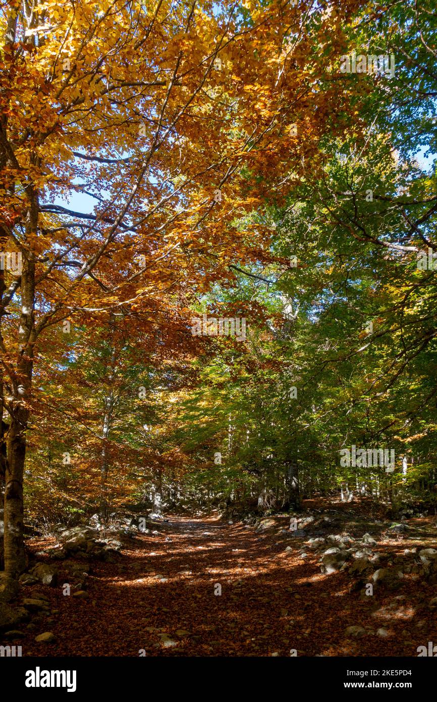 Colors of spain hi-res stock photography and images - Alamy