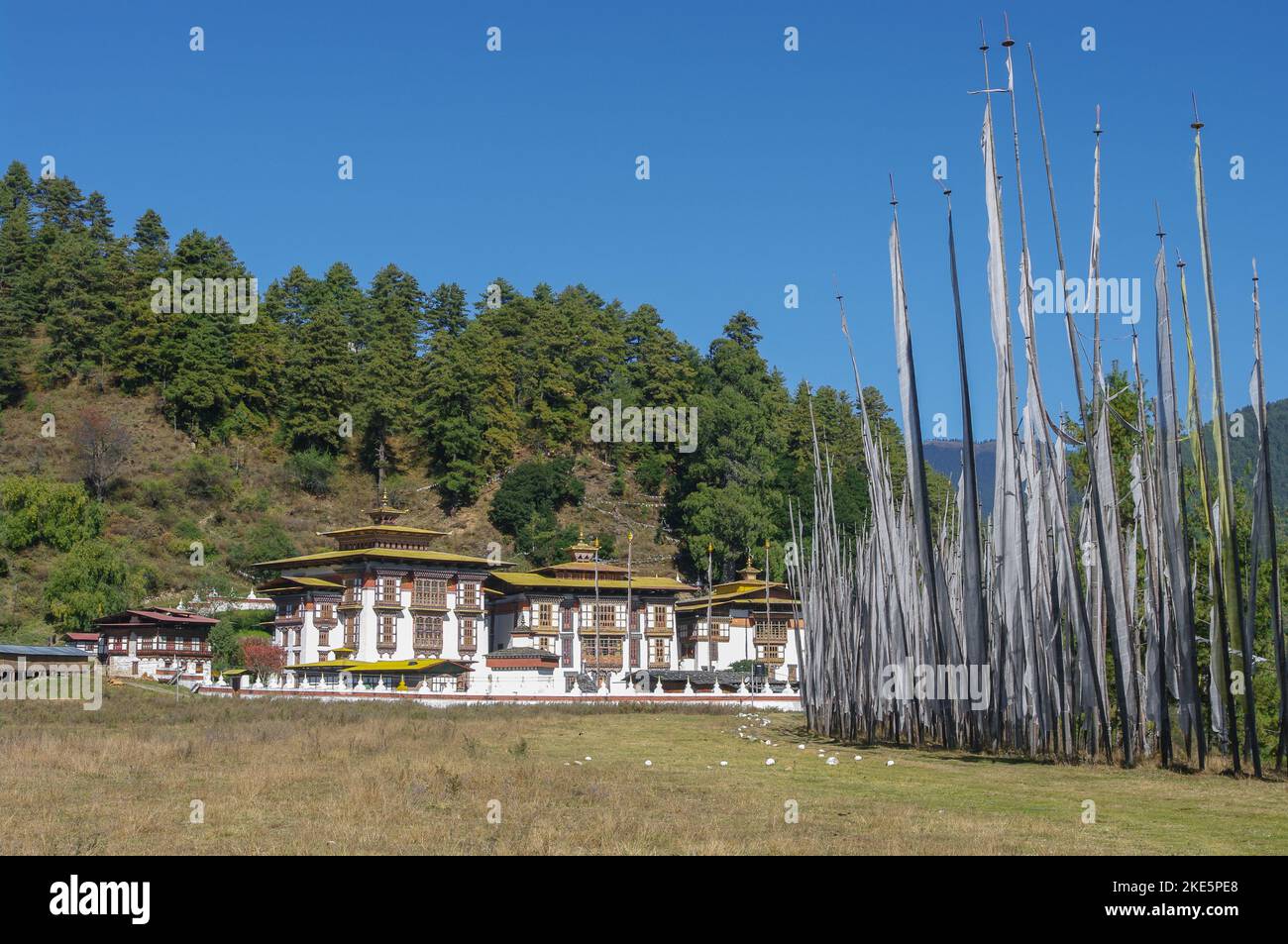 Landscape view of traditional buddhist prayer banners with Kurjey ...