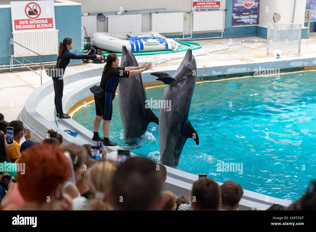 Many people in dolphinarium watching dolphin show in Romania Stock ...
