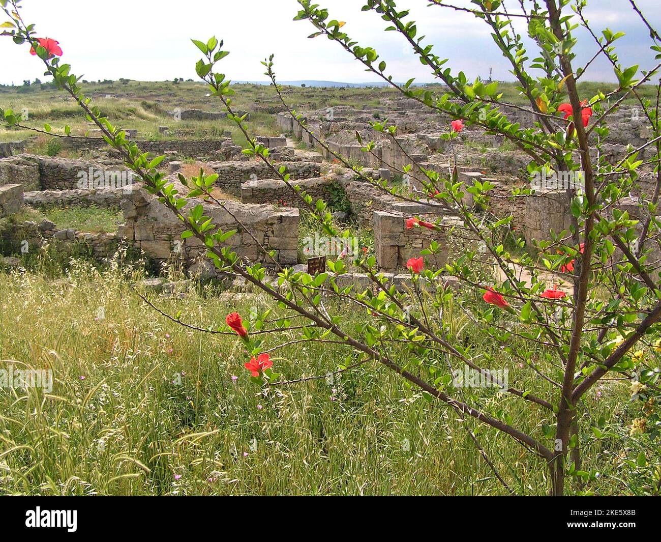 Pearl of allah hi-res stock photography and images - Alamy