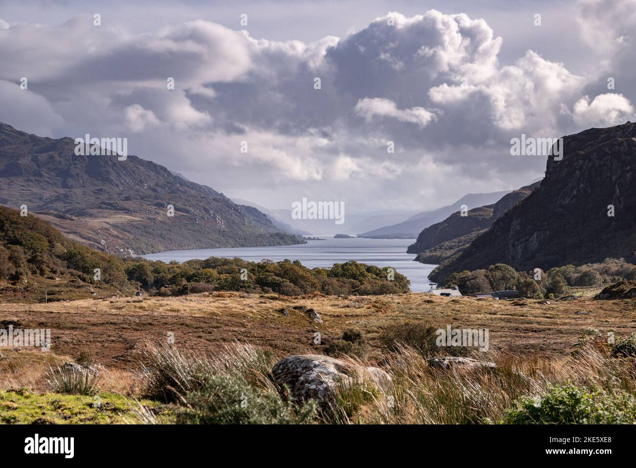 Loch Maree in the highlands of Scotland Stock Photo - Alamy
