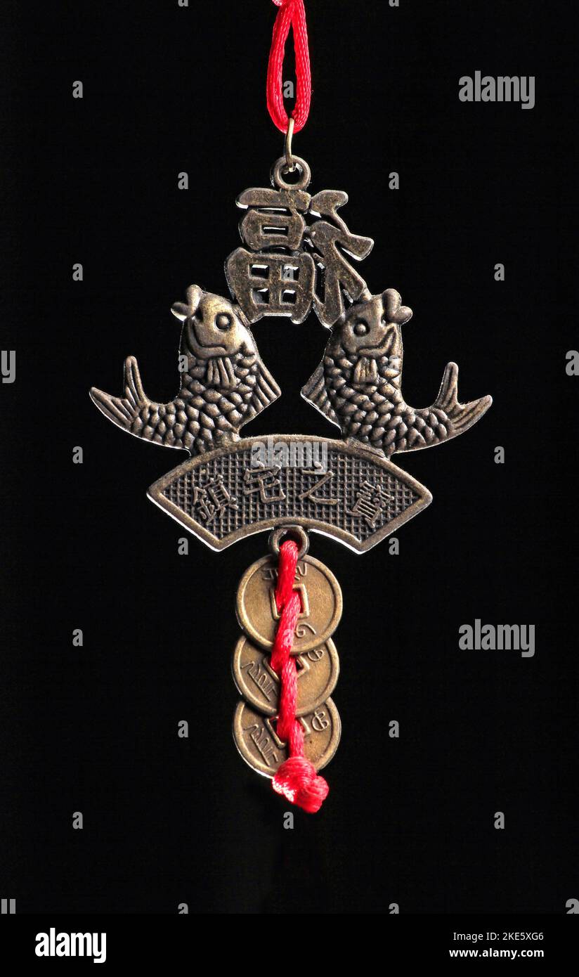 The vertical view of Chinese lucky fish and coins trinket set over the ...