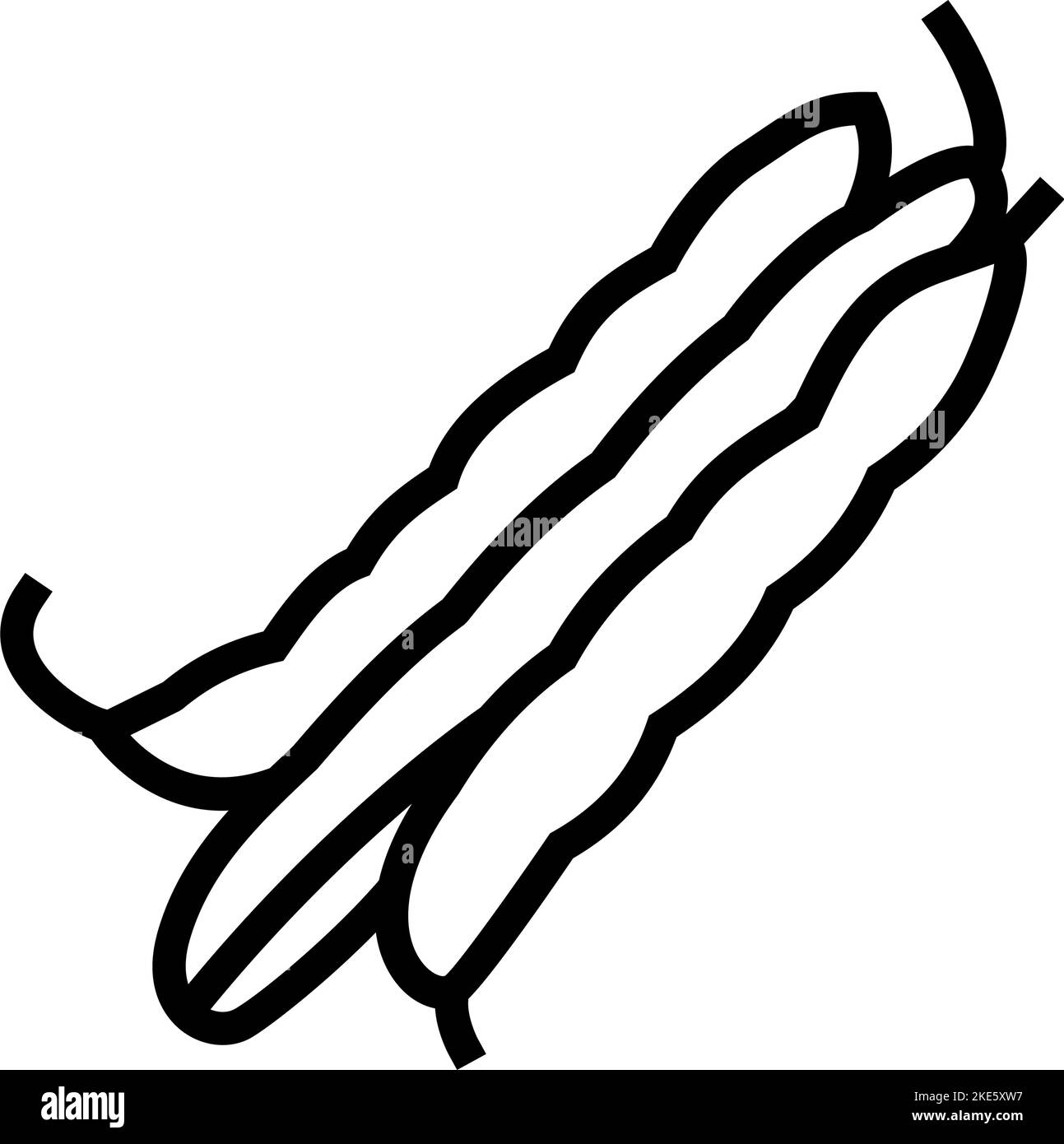 green bean fresh line icon vector illustration Stock Vector Image & Art ...