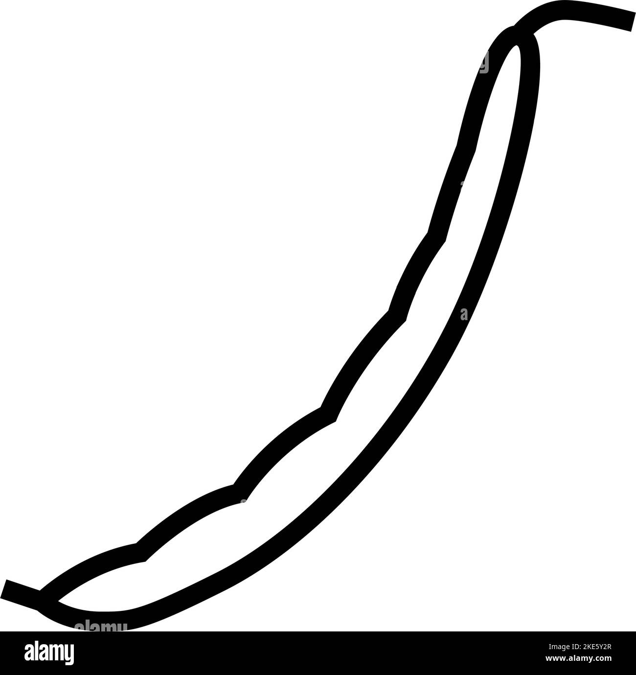 green bean pod line icon vector illustration Stock Vector Image & Art ...