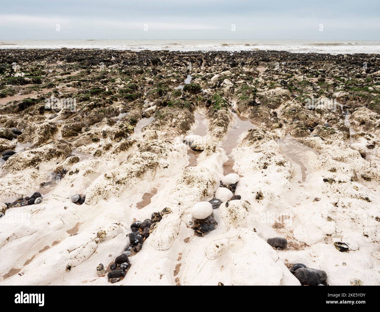 Pebbles and rock formations on the beach at low tide, Birling Gap, East ...