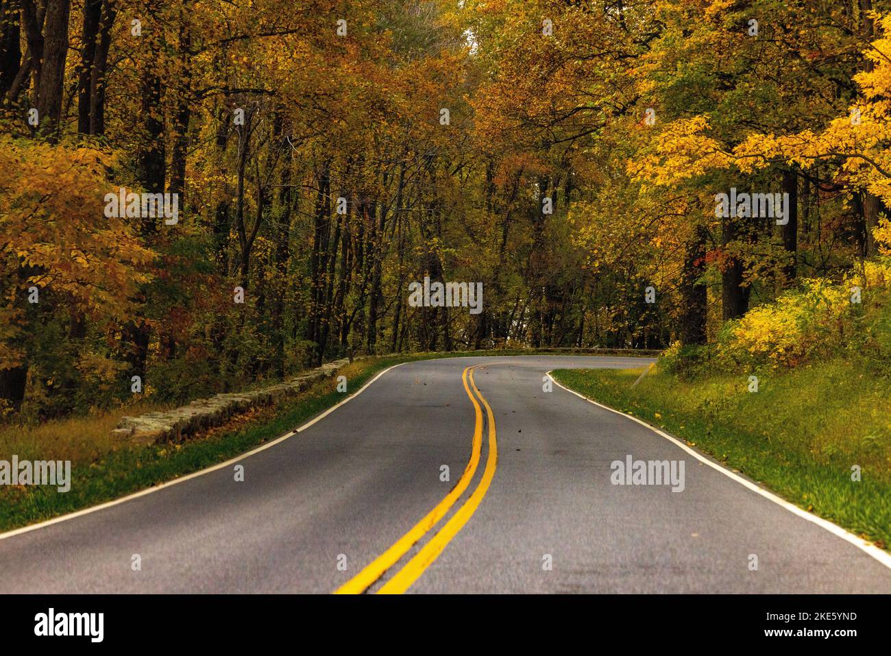 The Skyline Drive route surrounded by beautiful trees at the Shenandoah ...