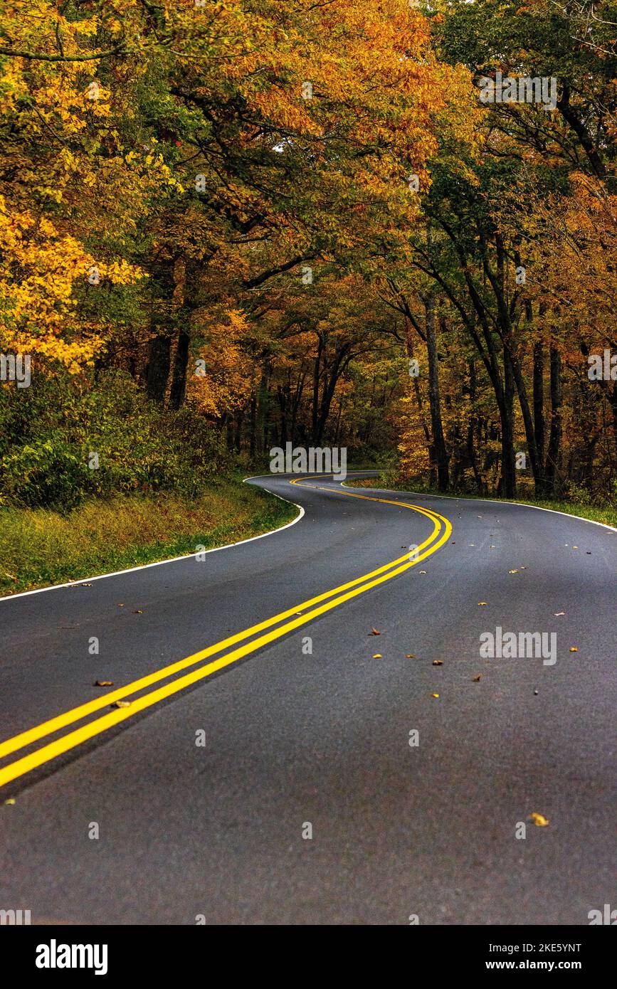 The Skyline Drive route surrounded by beautiful trees at the Shenandoah ...