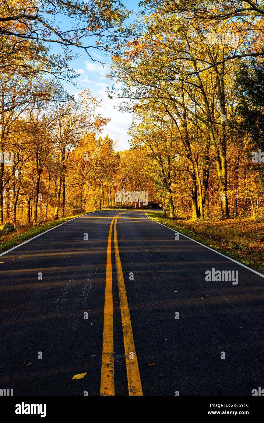 The Skyline Drive route surrounded by beautiful trees at the Shenandoah ...