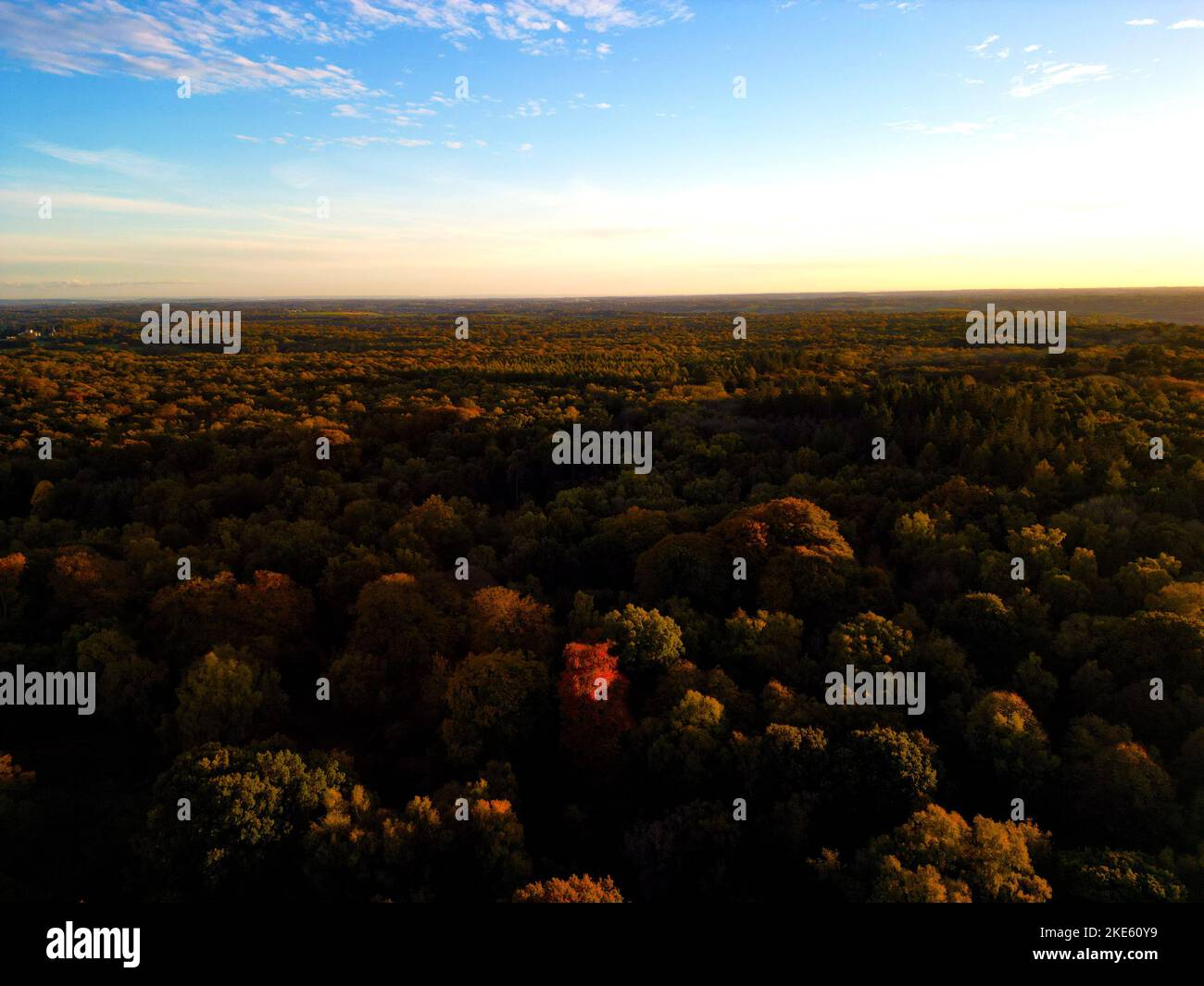 An aerial view of autumn woodlands in Ashridge, England Stock Photo - Alamy