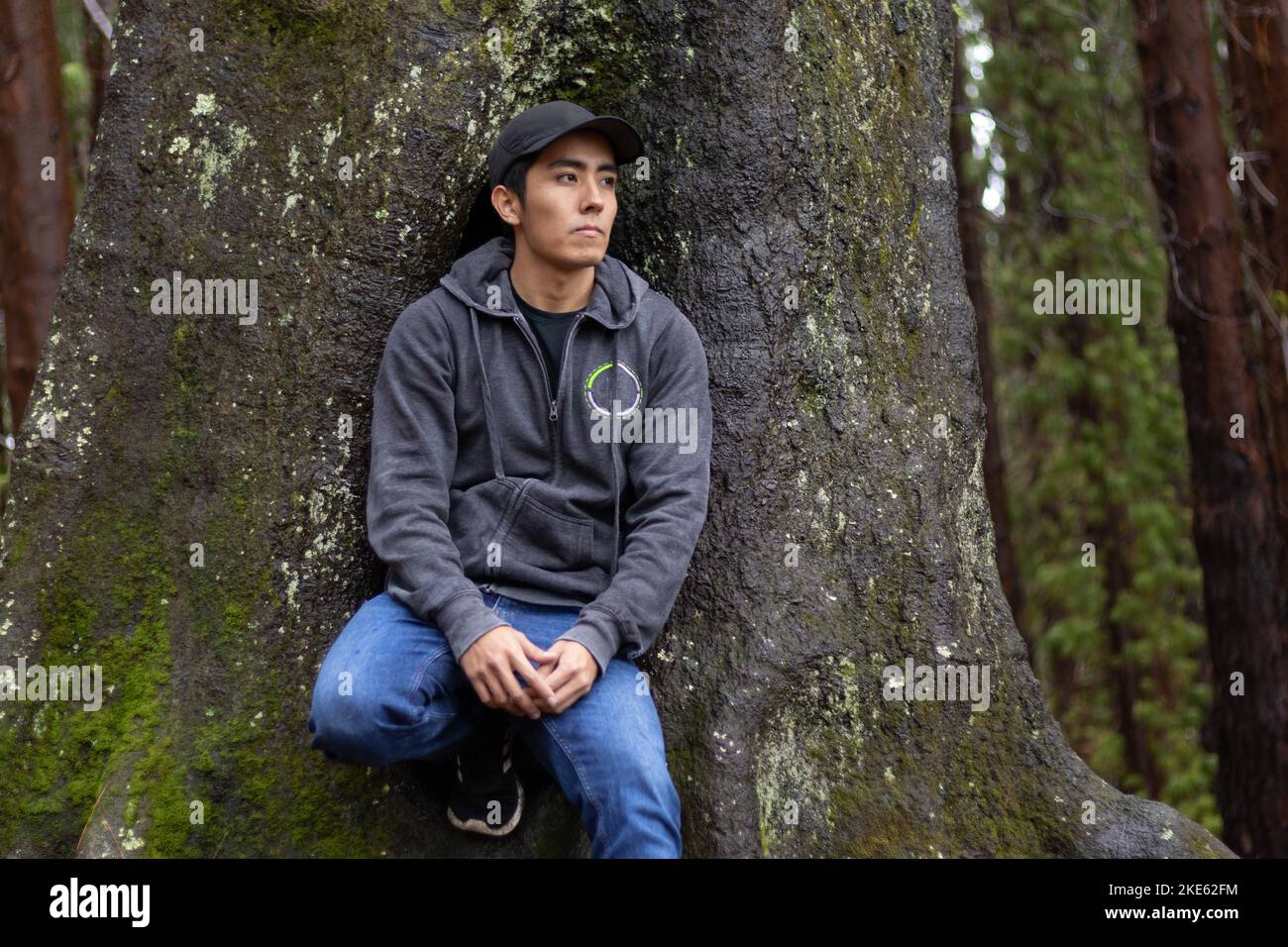 Asian brown boy sitting on a tree in the woods Stock Photo - Alamy