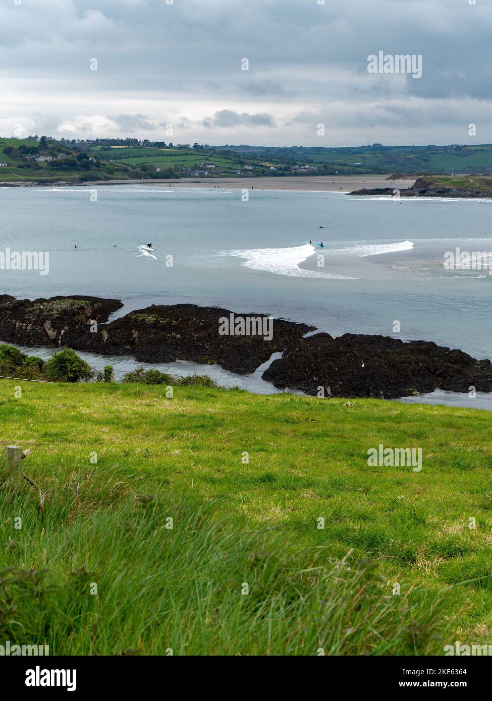 View of Clonakilty Bay. Thick grass, coastline. Seaside landscape ...