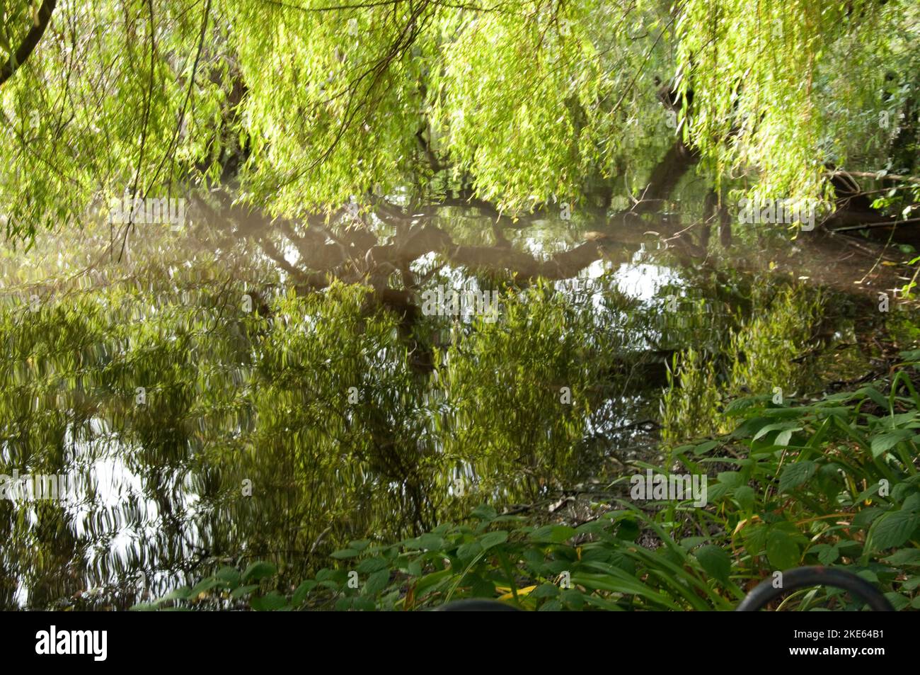 Lake, Waterlow Park, Highgate, London, UK Stock Photo - Alamy