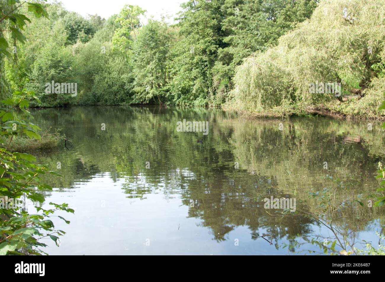 Lake, Waterlow Park, Highgate, London, UK - trees around lake and ...