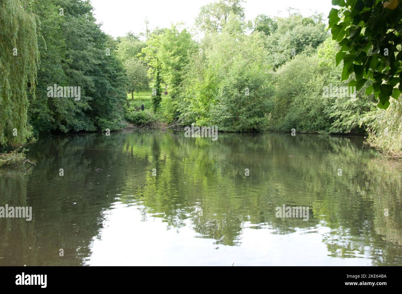 Lake, Waterlow Park, Highgate, London, UK - trees around lake and ...