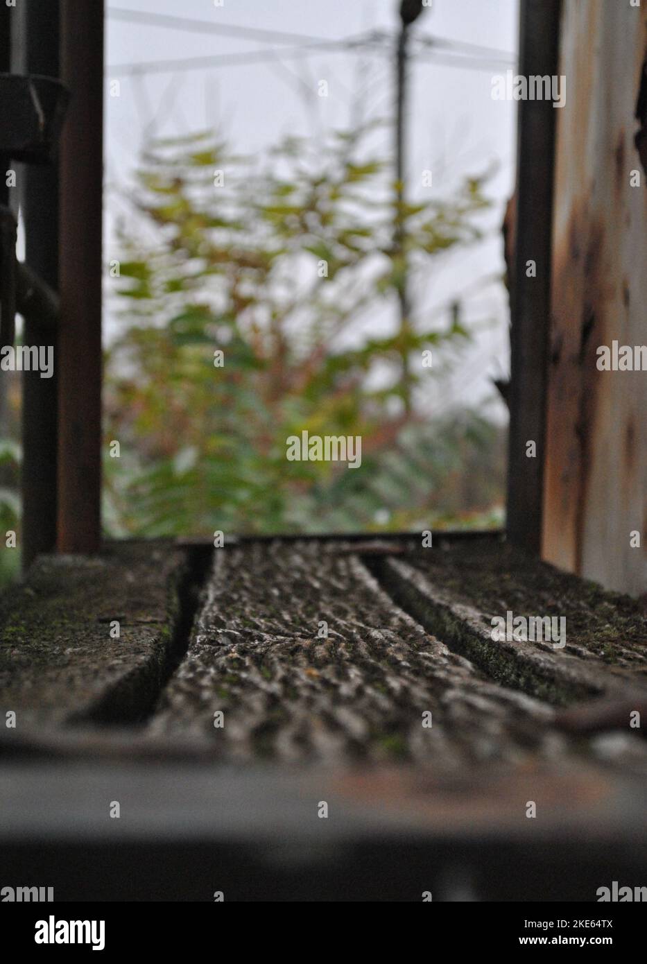 A vertical shot of the old wooden floor against the blurred background ...
