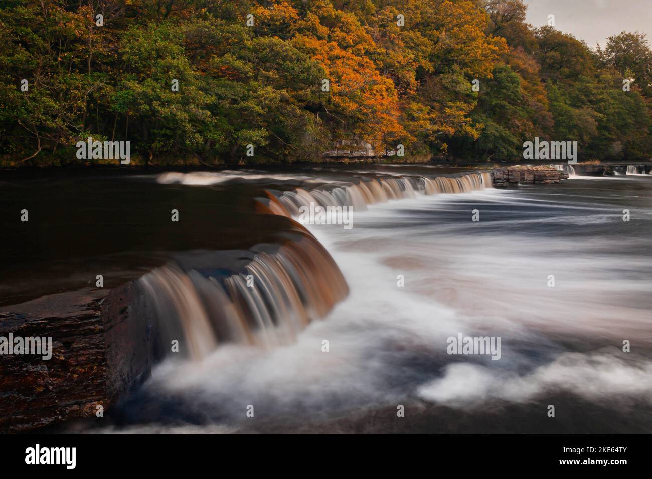 A scenic shot of a river rapid against the autumn forest Stock Photo ...