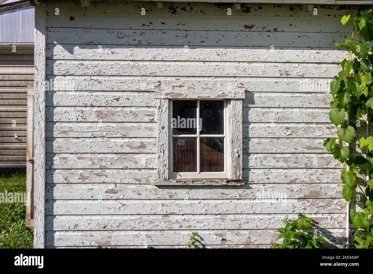 Close up texture background of an old deteriorating 19th century barn ...