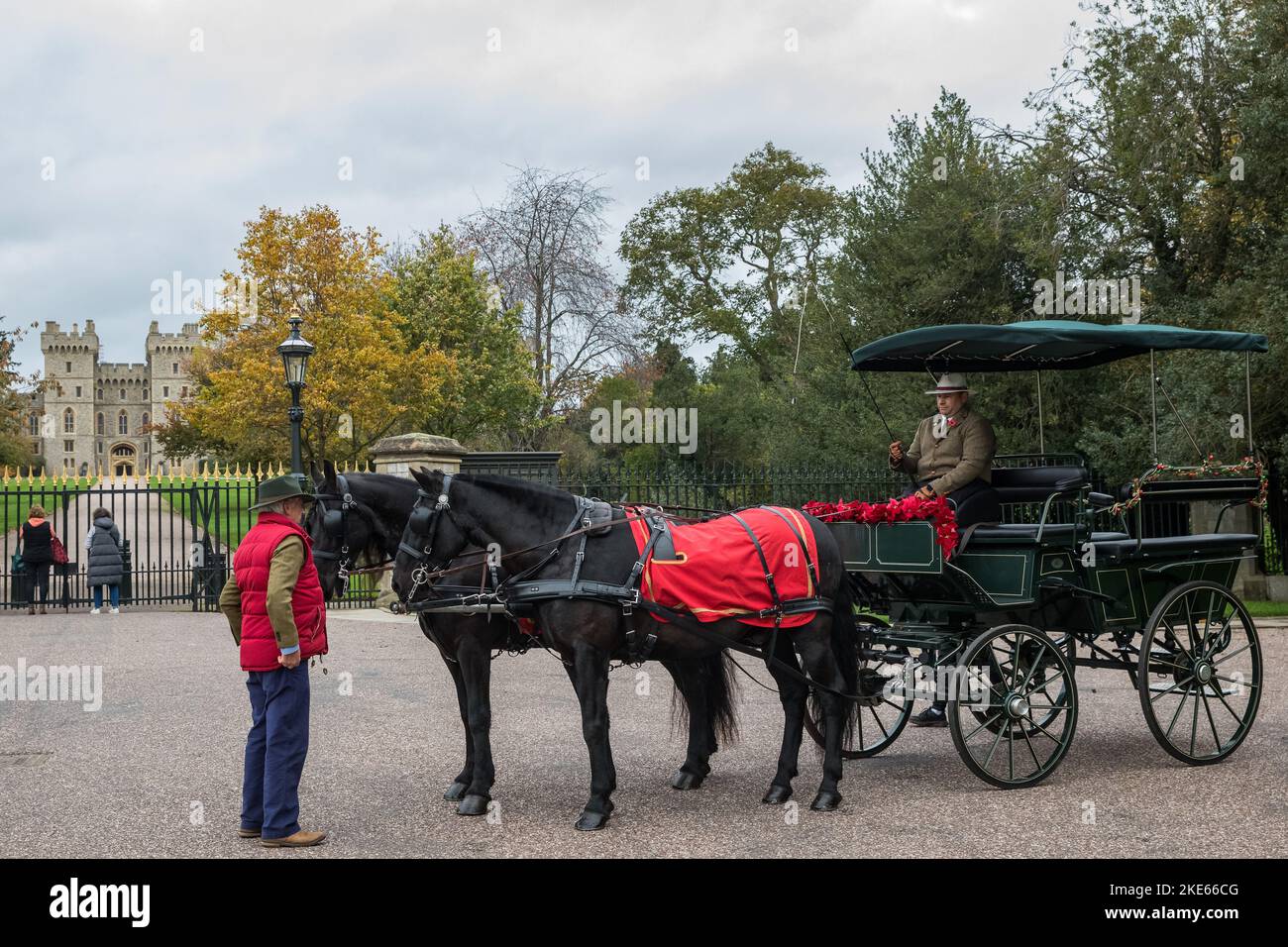 Windsor, UK. 10th November, 2022. A traditional horse-drawn Hackney ...