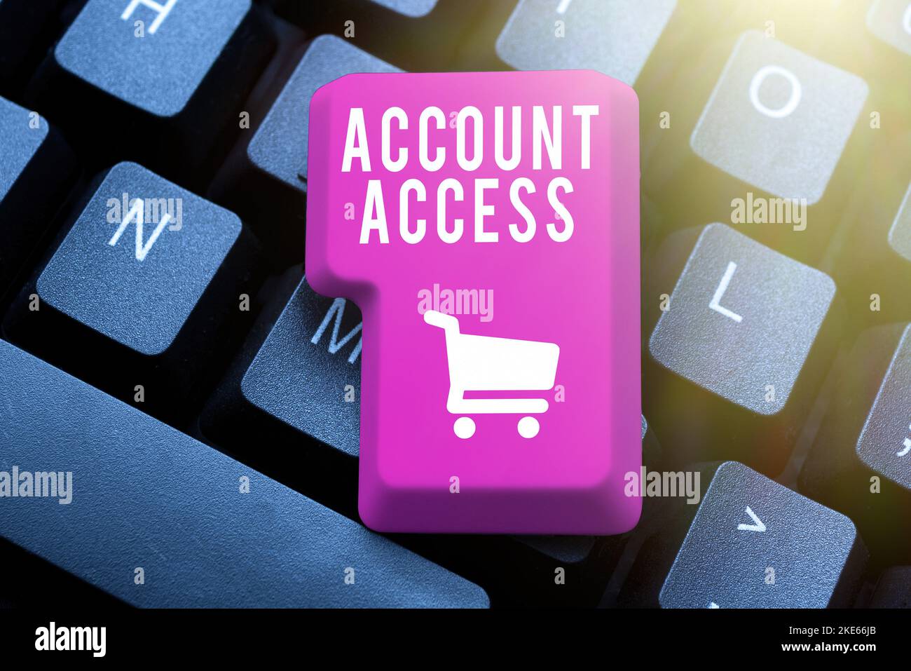 Conceptual display Account Access. Business overview full privilege for ...