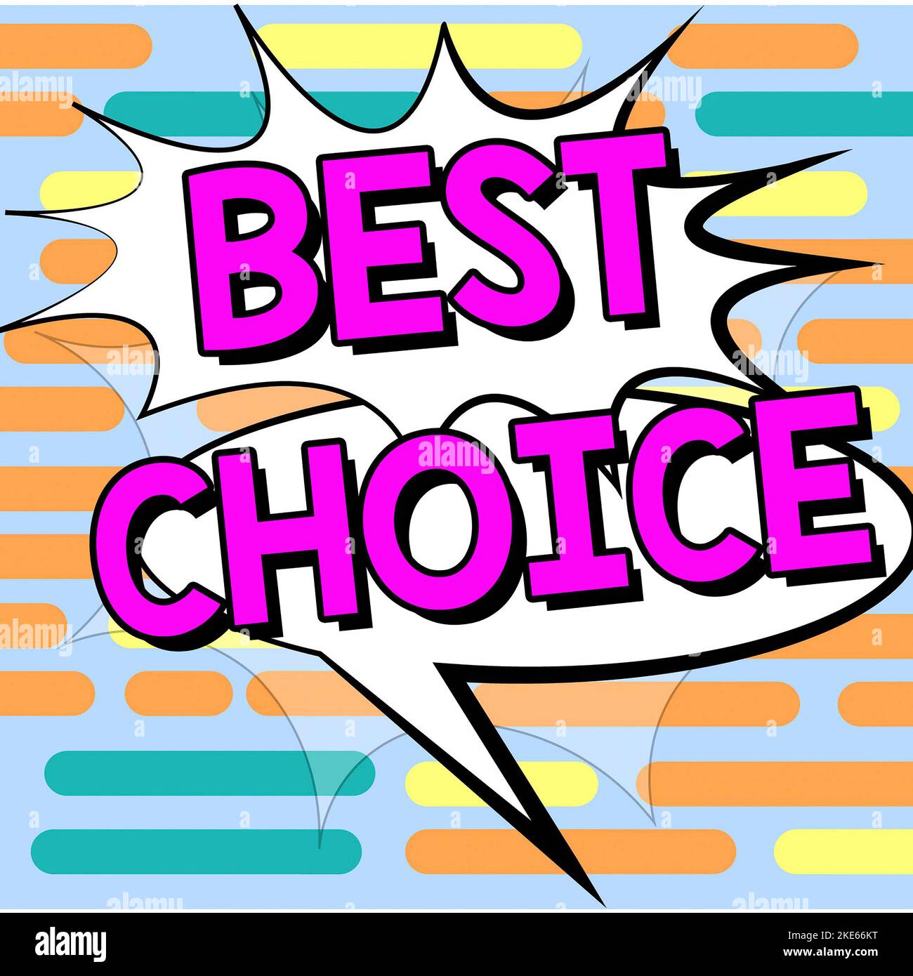 Text caption presenting Best Choice. Business overview defined to be ...