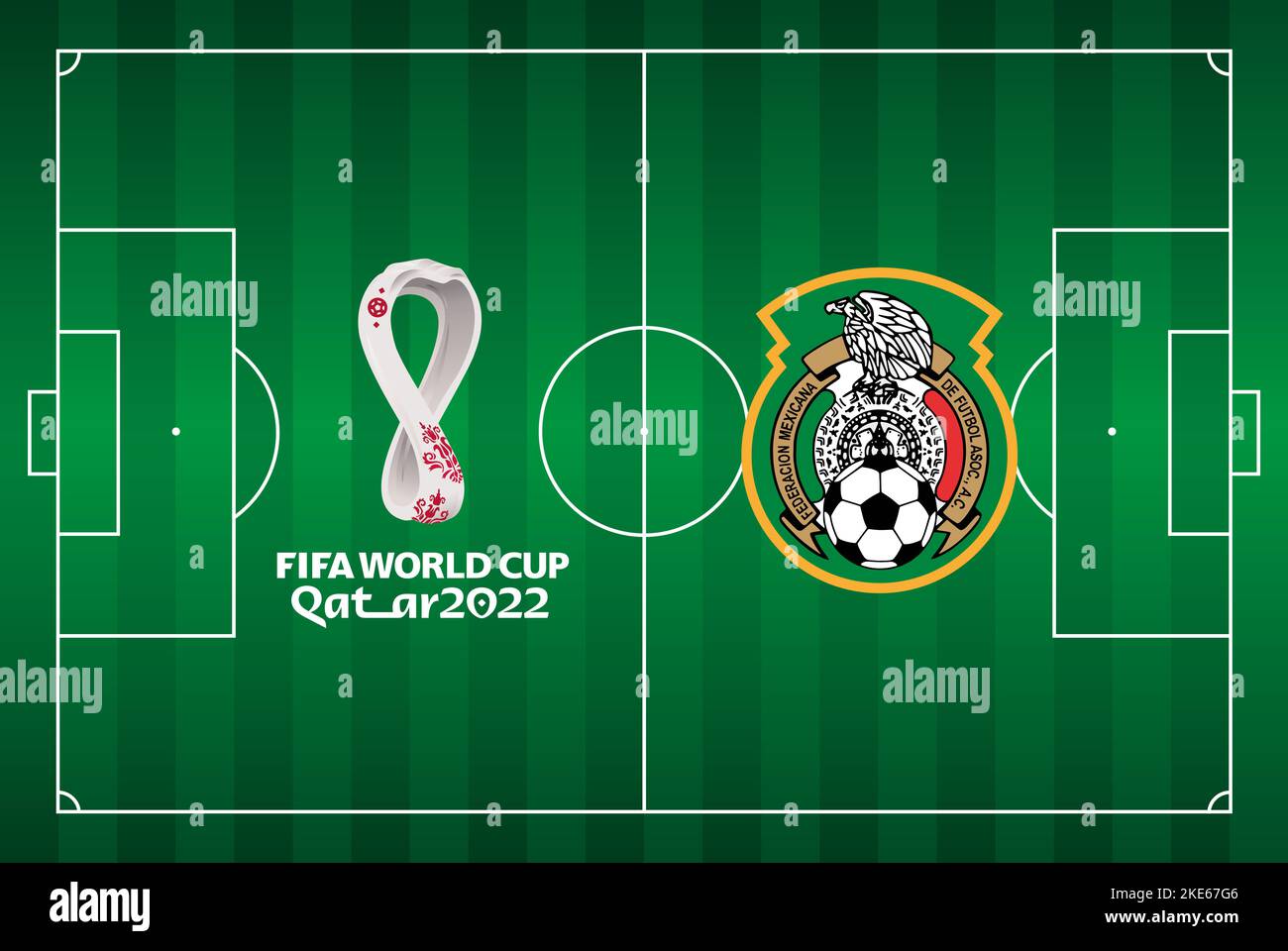Soccer field seen from above with the emblem of the football federation ...