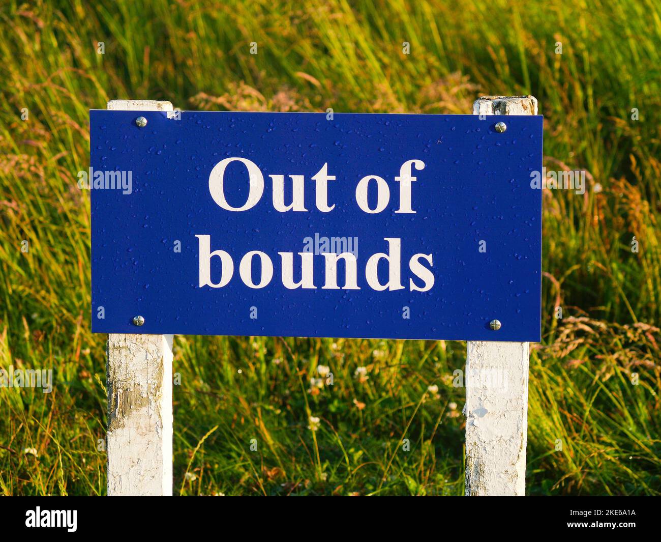 Out of bounds sign on golf course bold white lettering on royal blue ...
