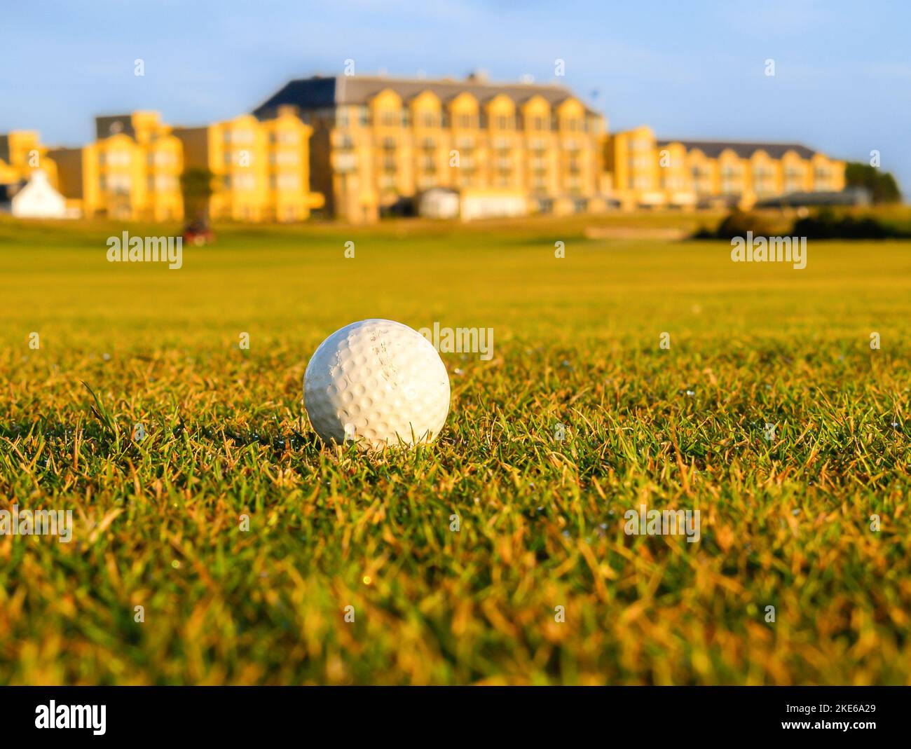 One white golf-ball in foreground on fairway of golf course with ...