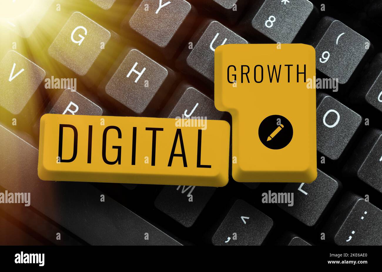 Text caption presenting Digital Growth. Business overview early stages ...